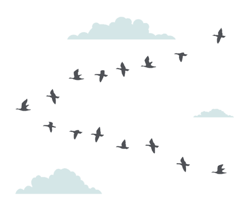 Automation for Azure SQL | WhereScape